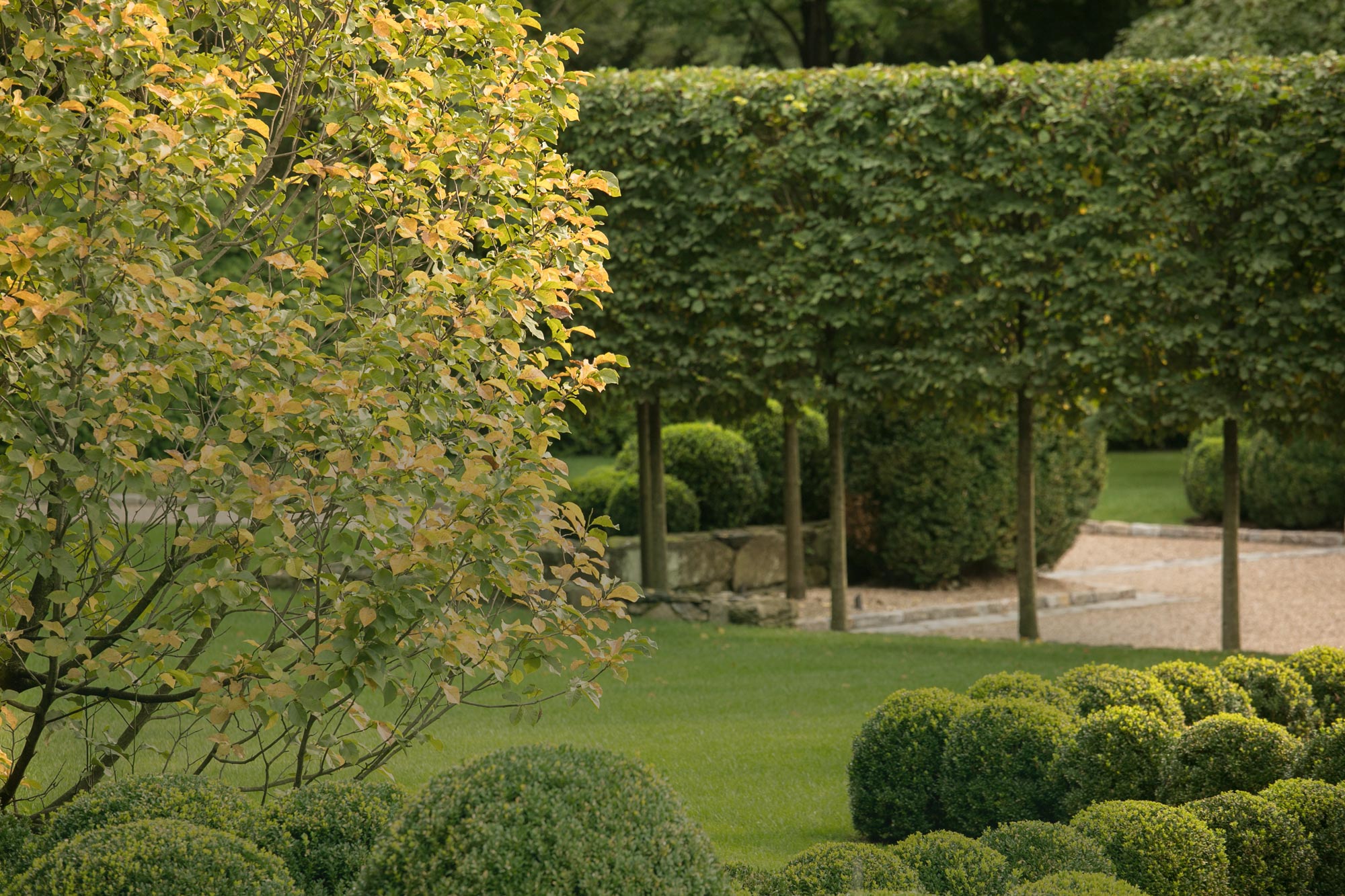 Contact - Janice Parker Landscape Architects