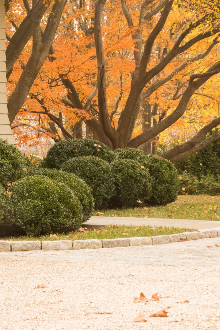 Harbor View - Janice Parker Landscape Architects